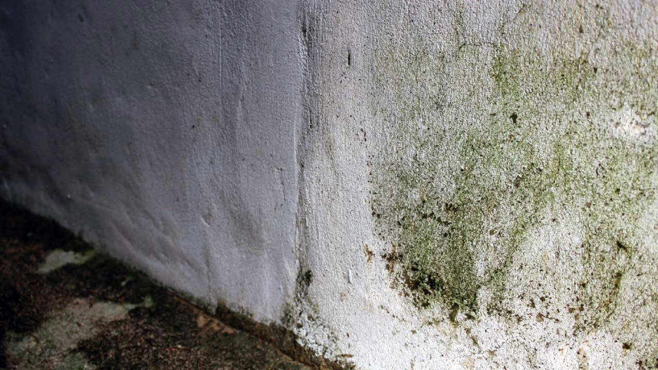 Examples | RRS - Rain resistant system